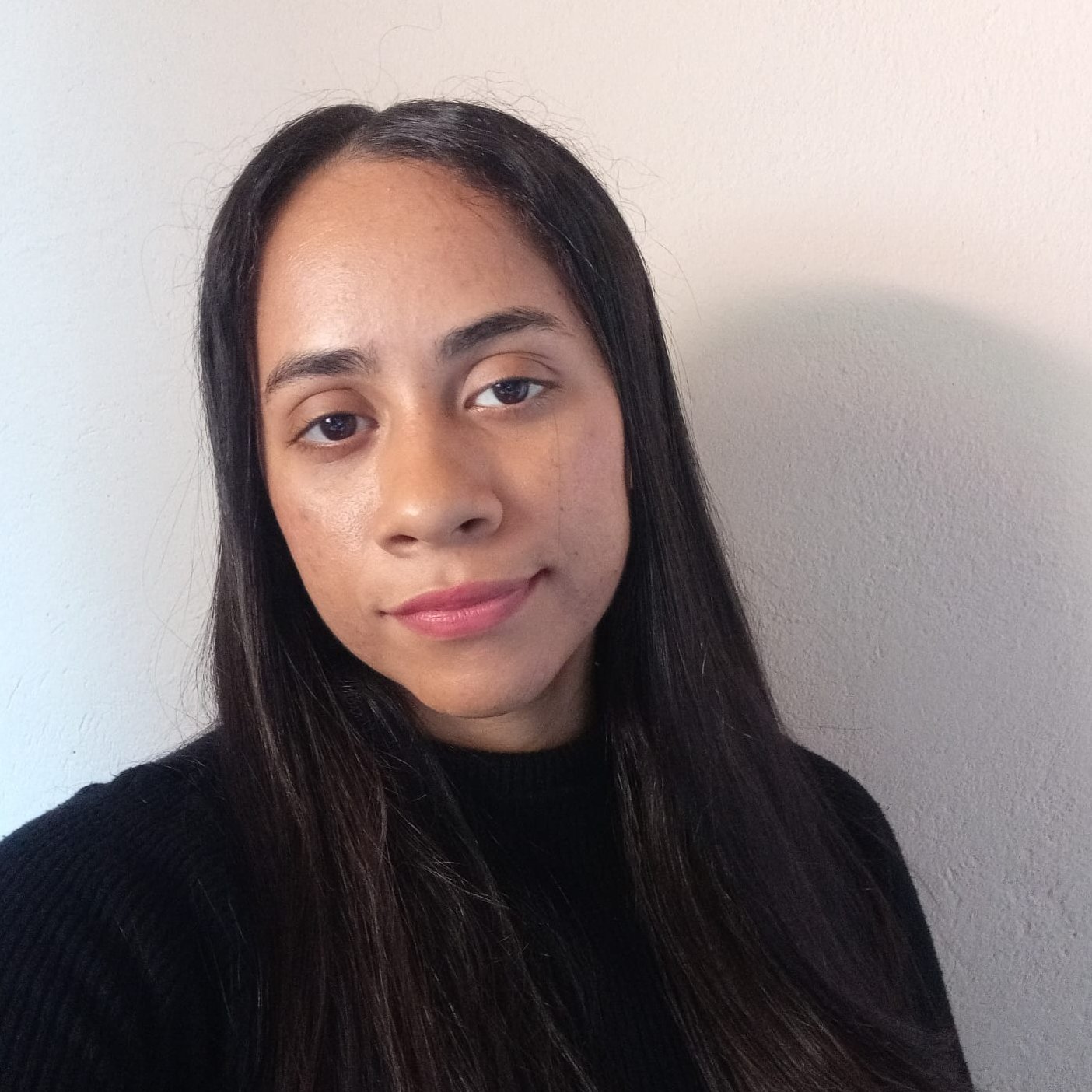 Leões Chineses Shisa Shi-shi Guardiões Okinawa Feng Shui - Abiate ...